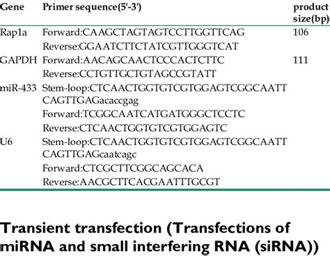Primer Sequence For Qpcr Download Table