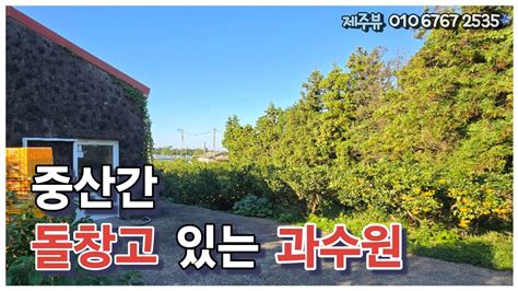조천읍 와흘리 중산간마을 인근 돌창고 있는 과수원 Youtube