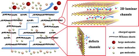 Scheme Of The Potential Diffusion Paths Of Gases Molecules And Water Download Scientific