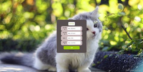 Springbootjavaphpnodepython喵喵宠物医院管理系统【计算机毕设】 Csdn博客