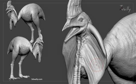 3dwally mutated cassowary