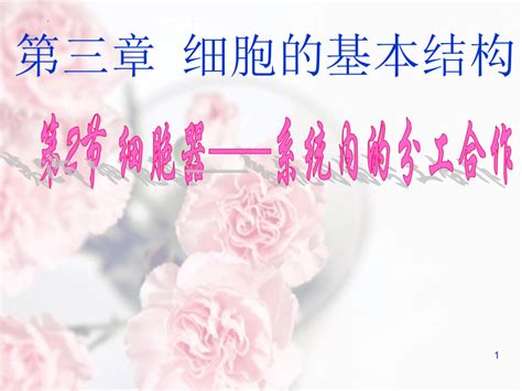 3 2细胞器 系统内的分工合作课件（54张ppt）2022 2023学年高一上学期生物人教版必修1 21世纪教育网