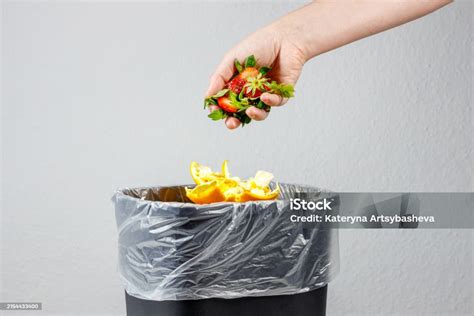 바이오 폐기물을 위한 쓰레기통 쓰레기의 분리수거와 재활용 쓰레기에 대한 스톡 사진 및 기타 이미지 쓰레기 음식 쓰레기통