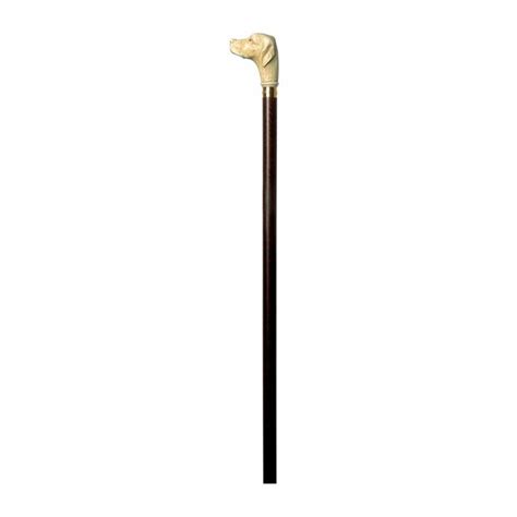 Imitation Ivory Pointer Head Cane 4016l The Walking Stick Store