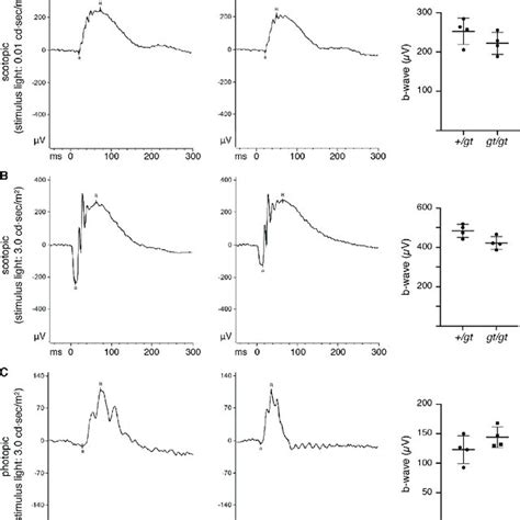 Erg Responses Of Nphp1 Gtgt Mouse Retinas Representative Scotopic A