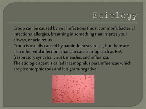 Ppt Croup Powerpoint Presentation Free Download Id2248166