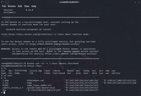 docker容器逃逸 特权模式 危险挂载 procfs docker逃生 csdn博客