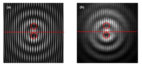 The Intensity Interference Patterns A The Theoretically Expected Download Scientific Diagram