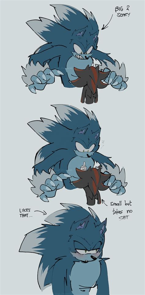 Sonic The Hedgehog Shadow The Hedgehog And Sonic The Werehog Sonic Drawn By Sage Draws