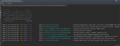 SpringBoot入门程序以及启动方式 项目中切换服务器依赖