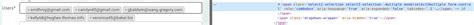 Multi Selection Widgets Inheriting SelectMultiple Vice MultiWidget Do Not Display Correctly For