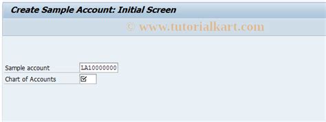Fsm1 Sap Tcode Create Sample Account