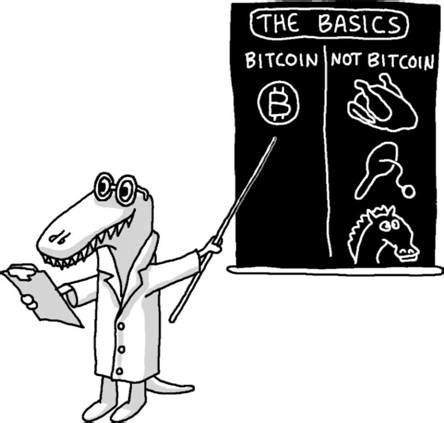 BITCOIN BASICS Bitcoin For The Befuddled