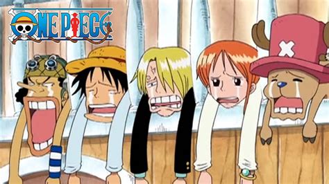 The Straw Hats Miss Vivi One Piece Youtube