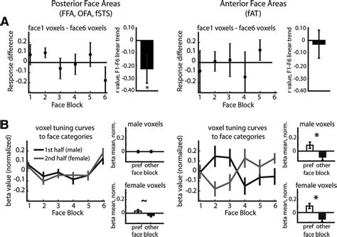 Posterior And Anterior Face Areas Have Different Tuning Properties