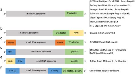 Findadapt A New Package For Small Rna Sequencing Department Of