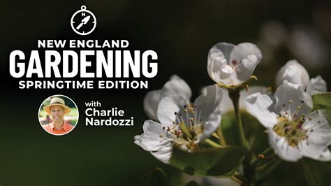 New England Gardening With Charlie Nardozzi Springtime Edition 2021
