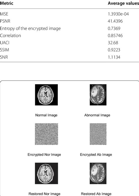 Statistical Evaluation Metrics Download Scientific Diagram