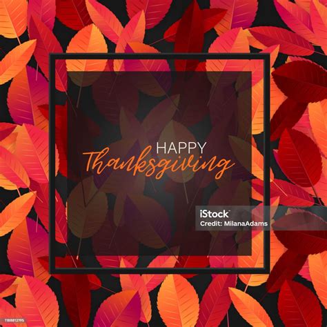 추수 감사절 전단지 또는 포스터 가을 전통적인 미국 휴일 단풍 나무와 오크 빨간색과 오렌지 잎 배경입니다 검은색 테두리 프레임 벡터 그림입니다 10월에 대한 스톡 벡터 아트