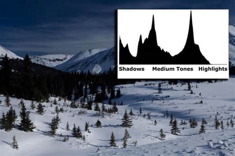 Nhận xét dynamic range là gì Sen Tây Hồ