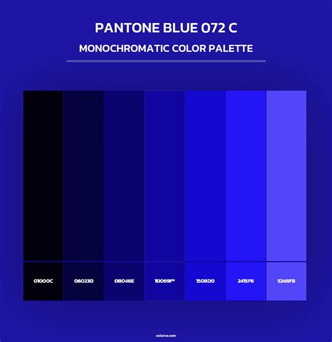 Pantone Blue 072 C Color Palettes