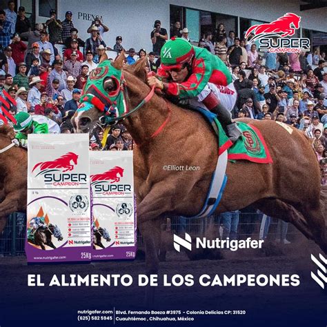 Super 🐴 Súper Campeón ”el Alimento De Los Campeones” Dale A Tus