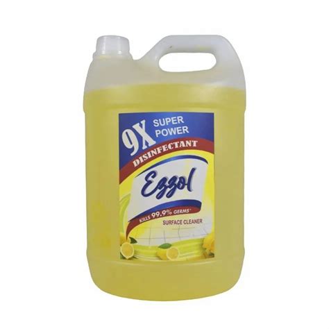 Floor Cleaner 5ltr Lime At ₹ 168bottle In New Delhi Id 25394557655