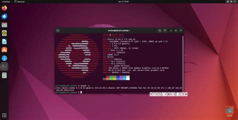 Como Instalar Linux Ubuntu Tutorial Paso A Paso Digitalek