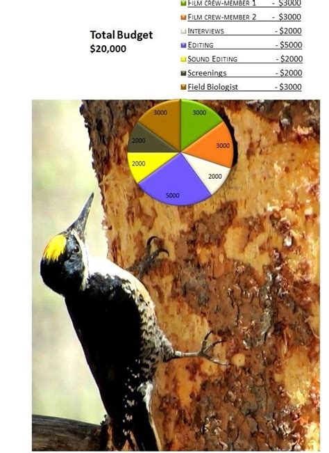 Field Biologists In Action