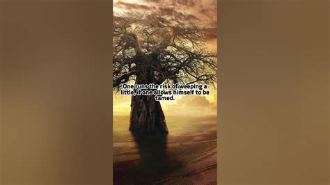 생활영어 명언 하루 한줄 명언으로 배우는 영어회화생텍쥐페리 Youtube