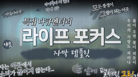 [다큐 자막 템플릿] 라이프 포커스 뱁믹스 뱁션 뱁포토 사용 가능 Youtube