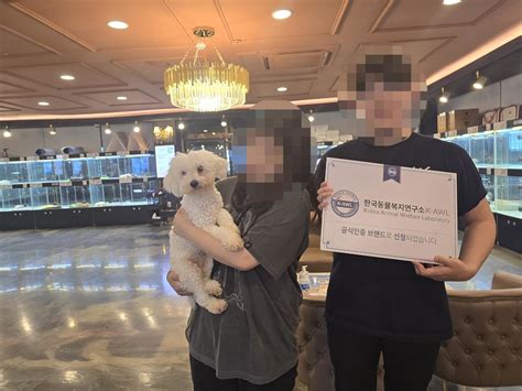 비숑프리제 꼬봉이 보스턴테리어 핏불테리어 허스키 테리어종류 꼬똥 차오차오 아프간하운드 Cat 강아지분리불안 털안빠지는강아지 귀여운강아지 강아지종 사바나캣 믹스견 잭러셀테리어