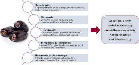 Bioactive Compounds In Date Fruit And The Associated Health Benefits Download Scientific Diagram