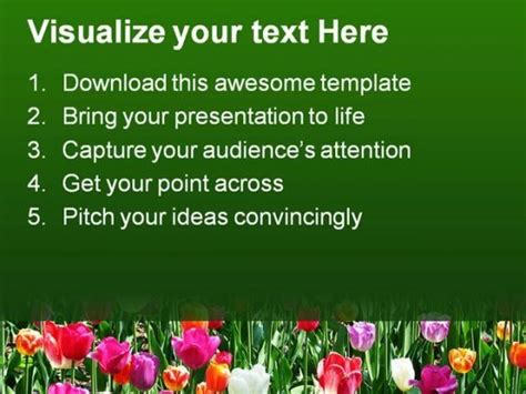 Tulip Field Beauty Powerpoint Templates And Powerpoint Backgrounds 0211