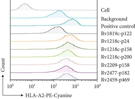 Representative Flow Chart Of Binding Affinity And Peptidehla A2