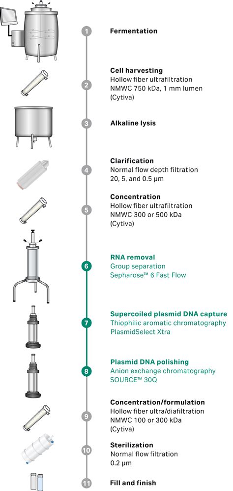 Plasmid Dna Isolation