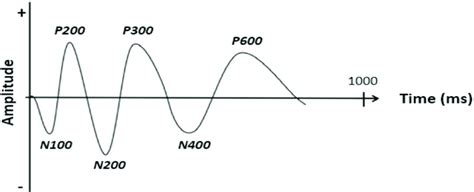 Concept Plot Of An Event Related Potential Erp Evoked In Response To