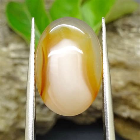 Mustika Kuat Sex Tunggang Semi Pusaka Dunia Pusaka Dunia