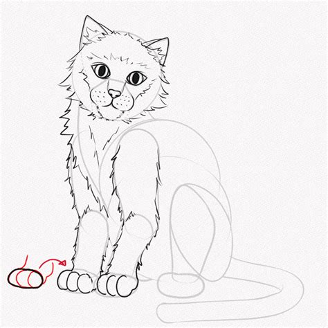 How To Draw A Cat Step By Step Realistic