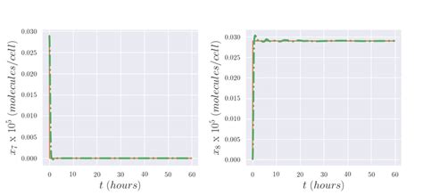 Cell Apoptosis Inferred Dynamics From Noisy Observations Compared With