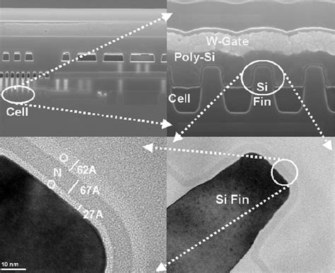 Figure 1 From Fully Integrated Sonos Flash Memory Cell Array With Bt