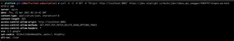 CORS Error Stoplight Response Header Contains Multiple Origin Values