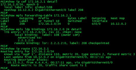 Traffic Flow Decisions In Mpls Network