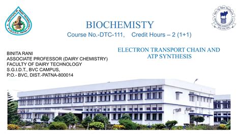 ETC AND ATP SYNTHESIS ELECTRON TRANSPORT CHAIN AND ATP SYNTHESIS Pptx