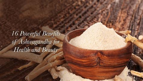 Powerful Benefits Of Ashwagandha Uses Benefits Kama Ayurveda