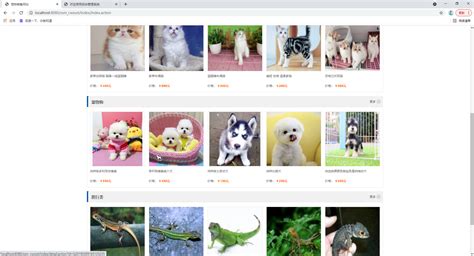 基于ssm的宠物销售管理系统、宠物在线商城管理系统、宠物商城管理系统、宠物商店管理系统，附源码数据库，适合课程设计、毕业设计ssm框架宠物