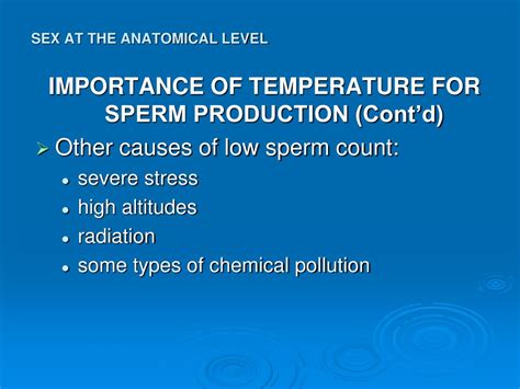 PPT SEX AT THE ANATOMICAL LEVEL PowerPoint Presentation Free Download ID