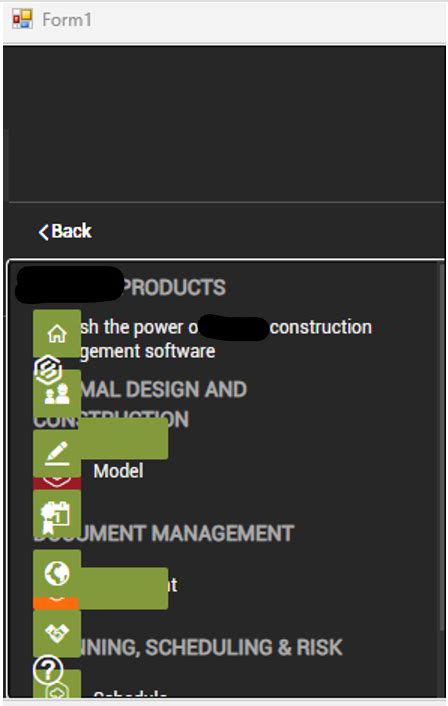 C WebView2 Inside A DevExpress FlyoutPanel Does Not Render Correctly