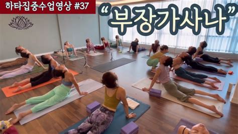 엔젤요가 하타집중 수련영상 37 하타요가 핵심후굴자세 부장가사나 Youtube
