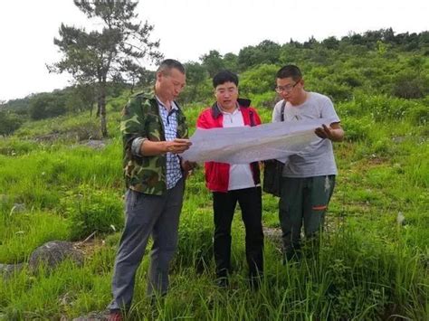 河南最大金矿探明 桐柏老湾金矿探明金资源量208吨 国际资讯 矿业资讯 携矿网